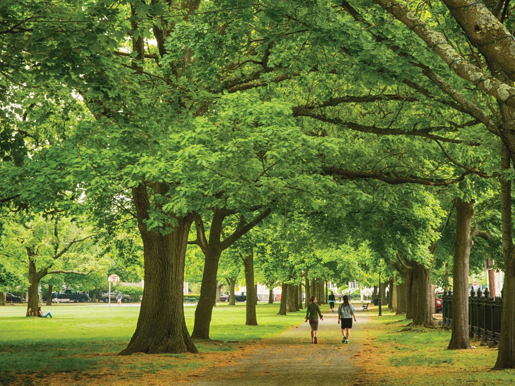 Signature Parks in Salem, MA | Salem 400+